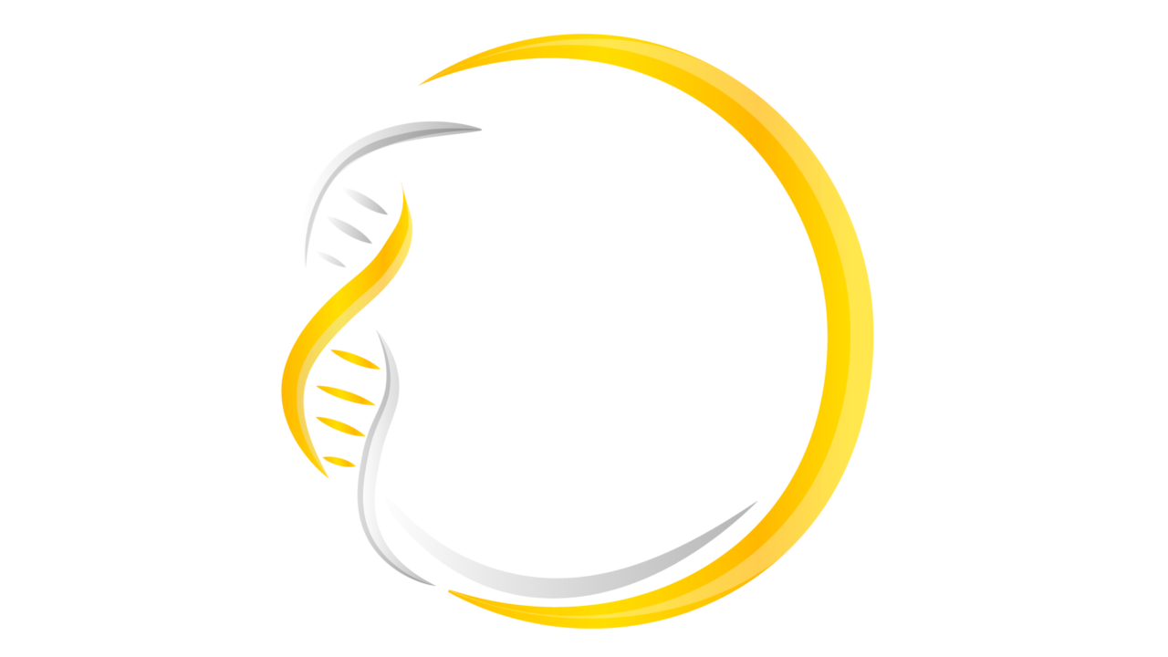 Ramp Warm Up: How to Properly Structure Your Warm Up to Improve Your ...